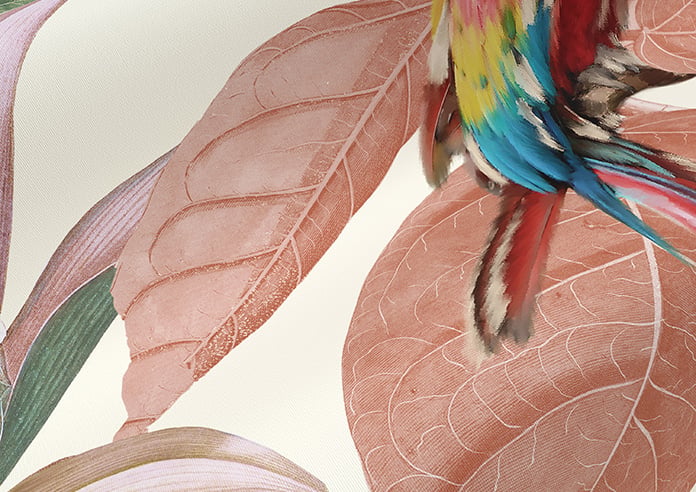 Parakeet, Pink Lotus - Roller Blind | 247Blinds