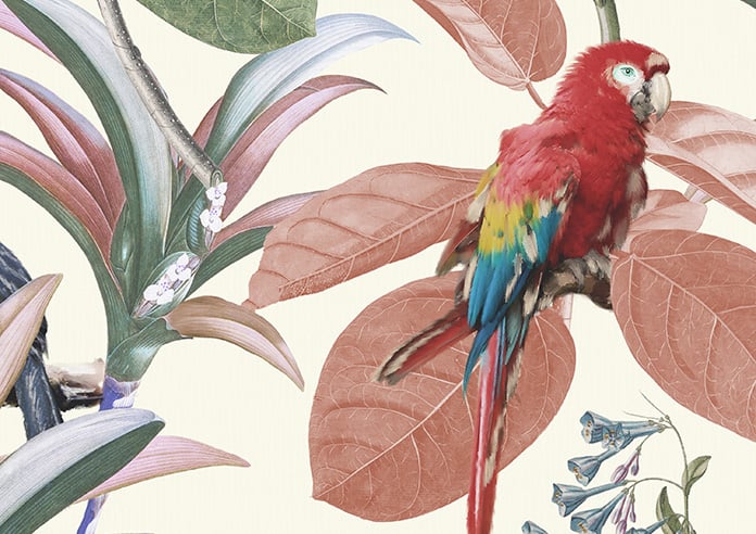 Parakeet, Pink Lotus - Roller Blind | 247Blinds
